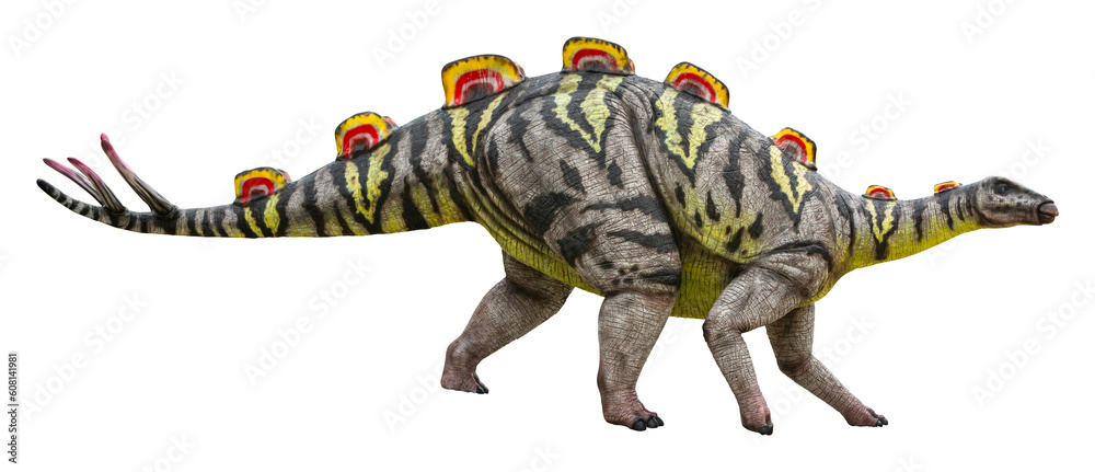 Wuerhosaurus is a herbivore genus of stegosaurid dinosaur from the ...