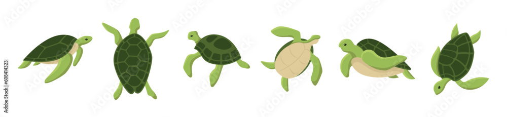 Set of big sea turtle cartoon cute animal design ocean tortoise ...