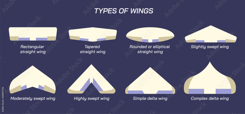 Airplane wings and positions vector illustration. Some important wing types. Types of aircrafts ...