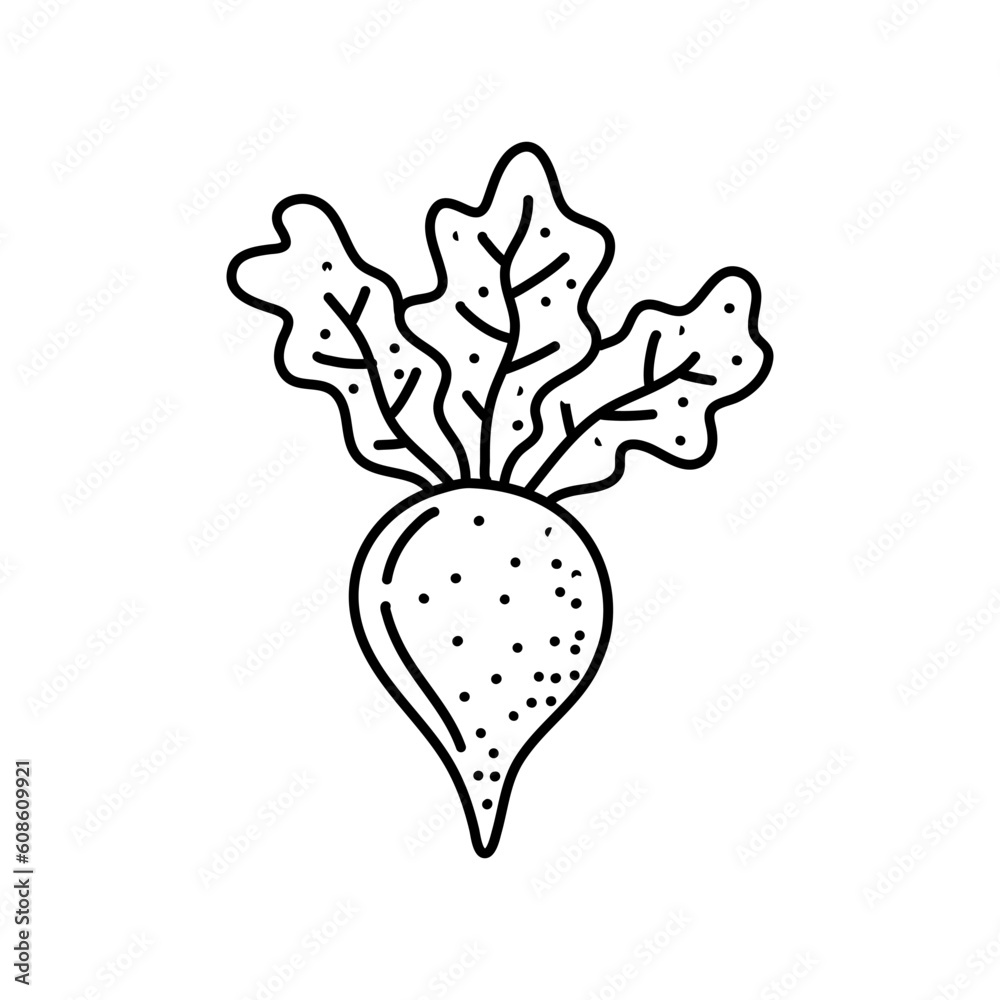 Turnip hand drawn outline doodle icon. Vector sketch illustration of ...