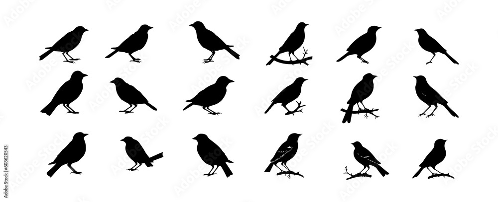Birds silhouettes. Black bird outline shapes isolated on white ...