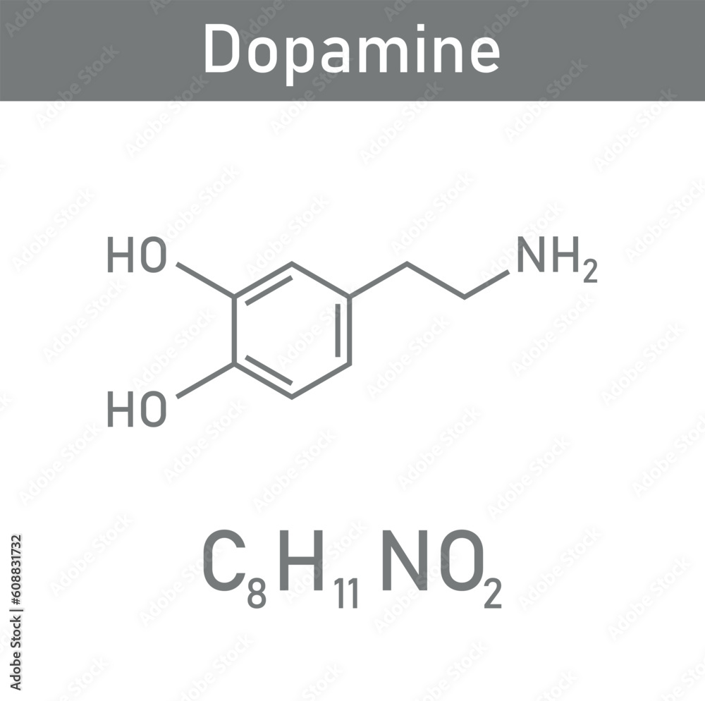 Chemical structure of Dopamine (C8H11NO2). Chemical resources for ...