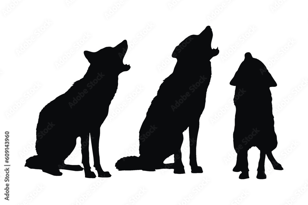 Wild wolves sitting and howling in different positions. Wolf full body ...
