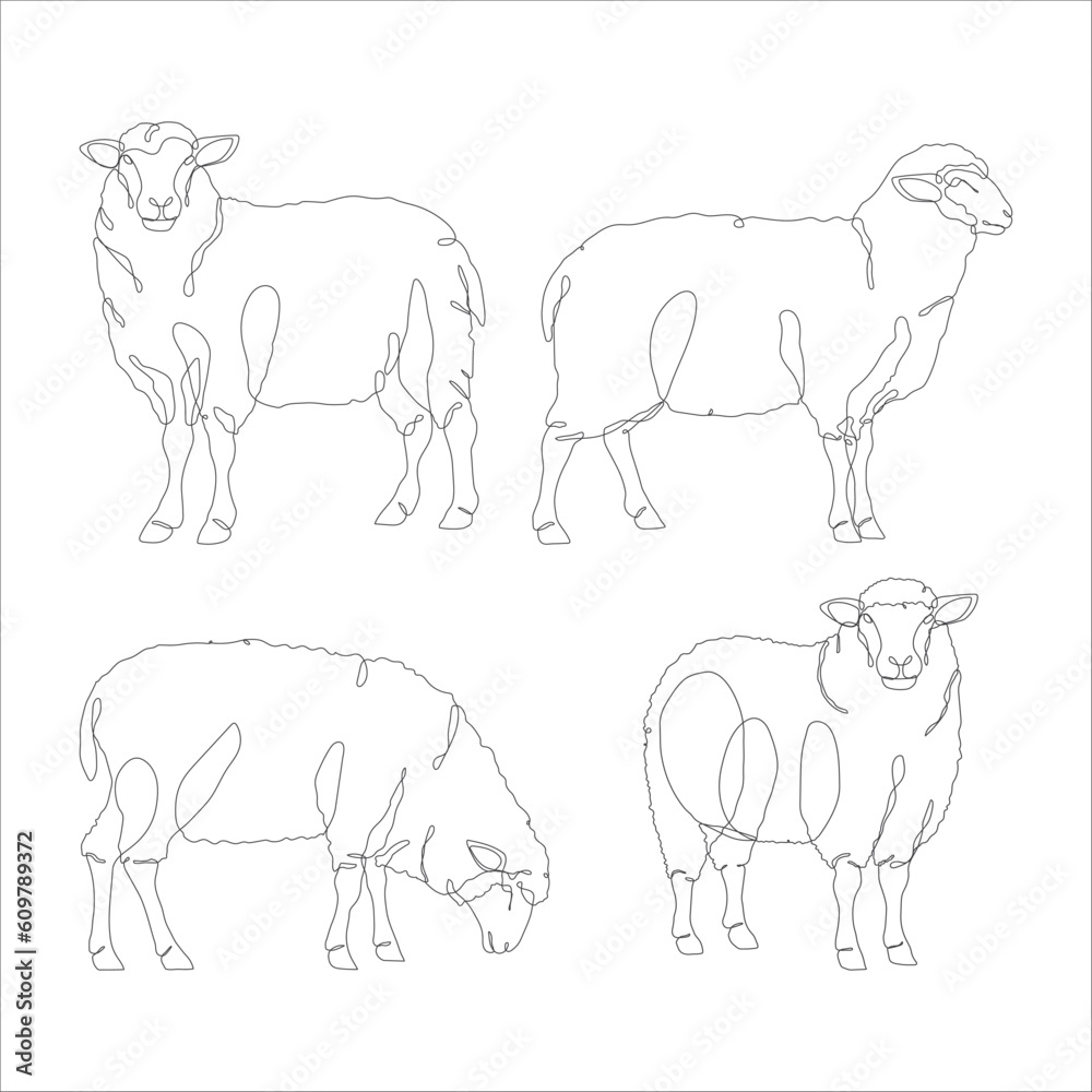 Sheep line art vector icon set. Lamb in continous line drawing. Sheep ...