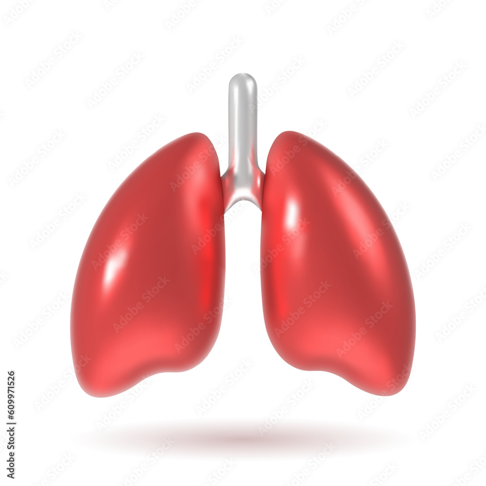 Human lungs 3d minimalistic glossy style. Front view with trachea ...