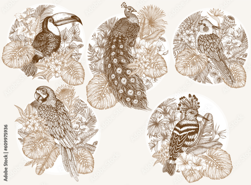 Vector set of 5 stickers with exotic birds in tropical plants. Macaw ...