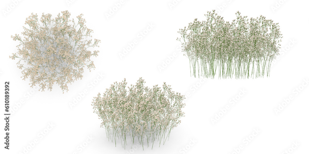 grass isolated on transparent background Stock Illustration | Adobe Stock