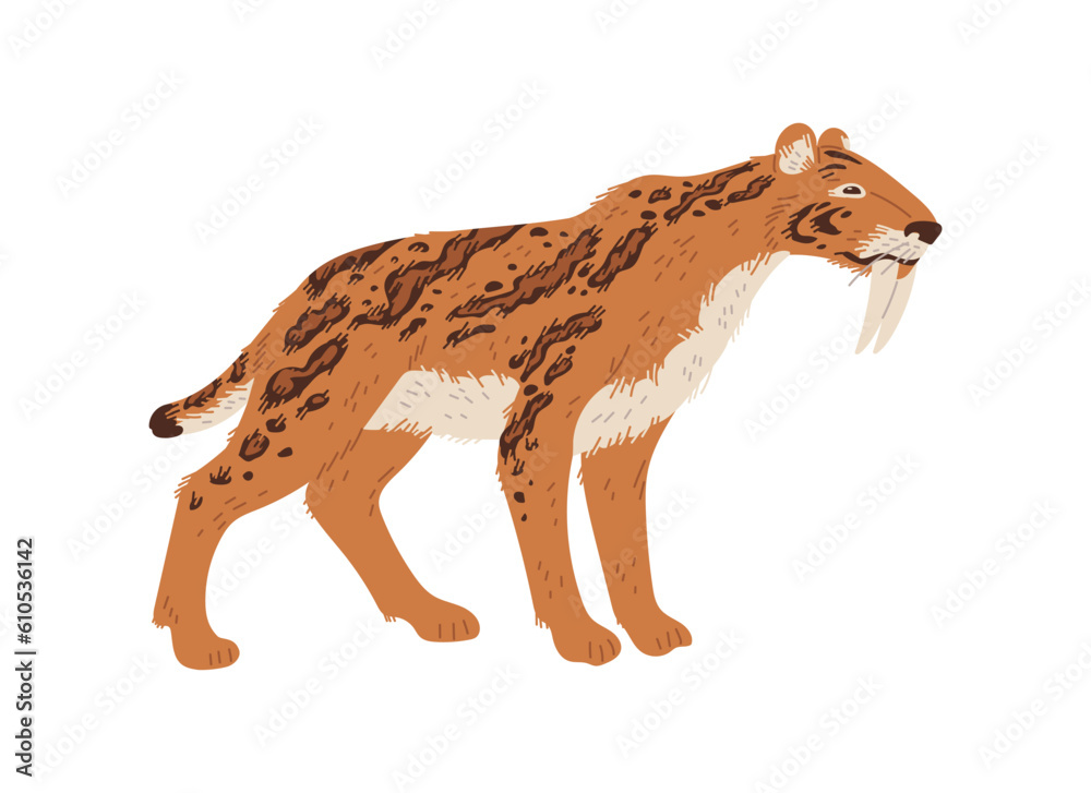 Smilodon prehistoric animal, flat vector illustration isolated on white ...