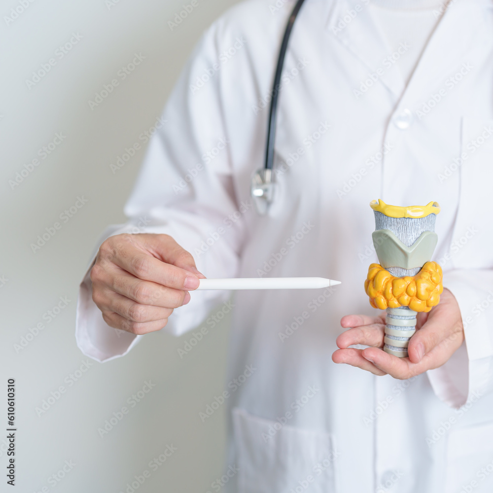 Doctor with human Thyroid anatomy model. Hyperthyroidism ...