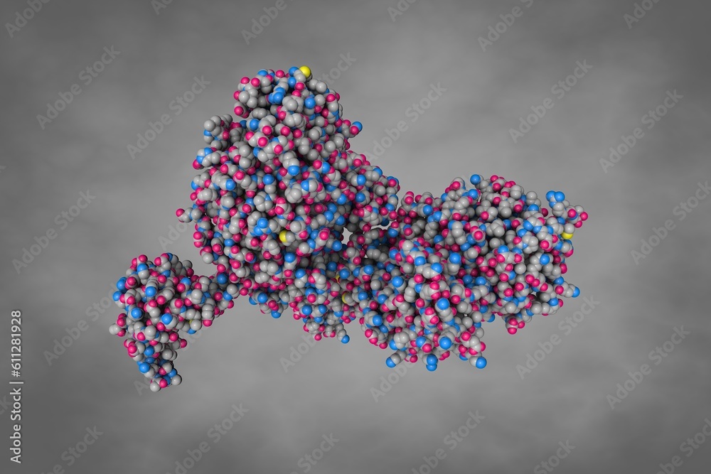 Penicillin-binding protein 2X (PBP 2X) acyl-enzyme complex from ...