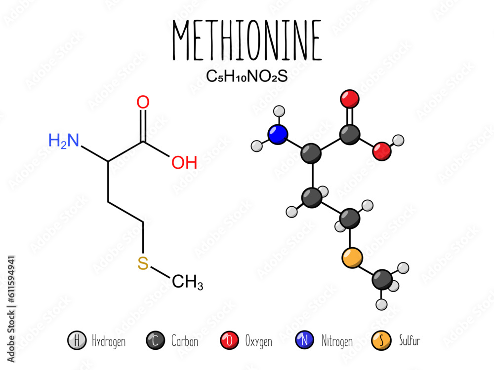 Methionine amino acid representation. Skeletal formula and 2d structure ...