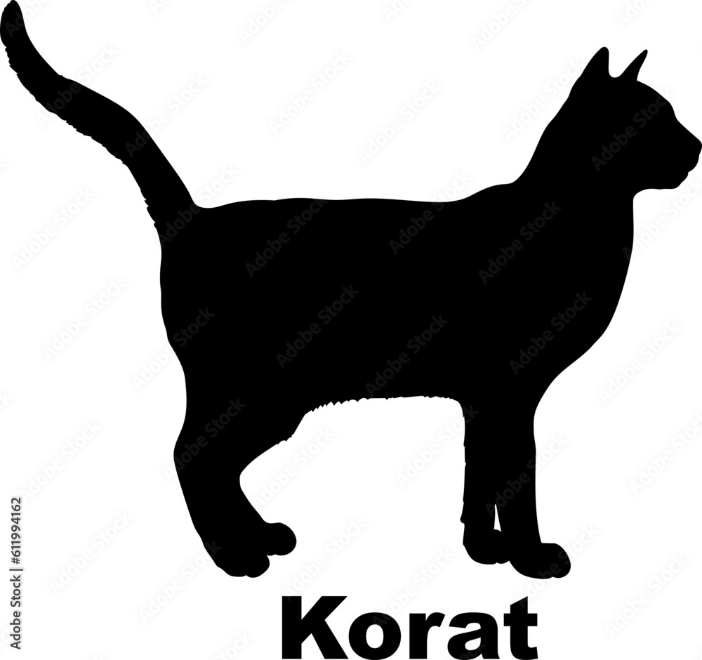 Korat Cat silhouette cat breeds Stock Vector | Adobe Stock