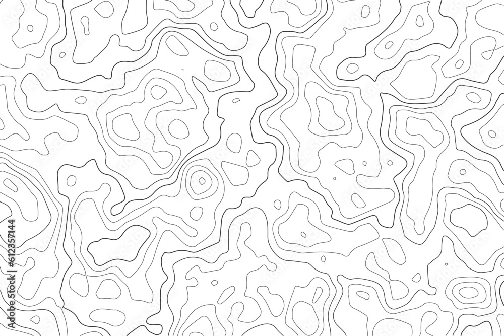 Topographic Map Vector Patterns. Topographic Maps can be used as ...