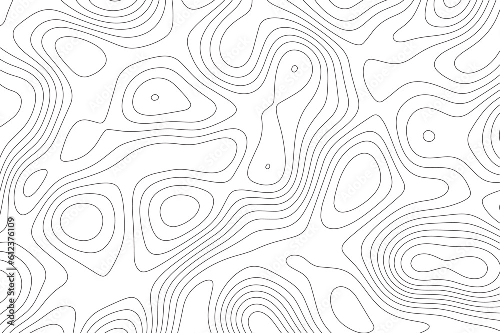 Topographic Map Vector Patterns. Topographic Maps can be used as ...