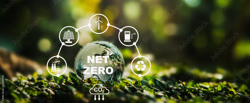 Net Zero 2050 Carbon Neutral. tree growing on soil with sunshine ...