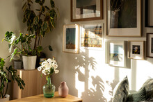 Sunny Frame Free Stock Photo - Public Domain Pictures