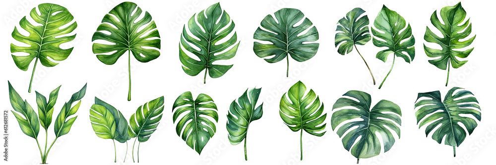 watercolor leaves set, watercolor botanical painting. Jungle ...