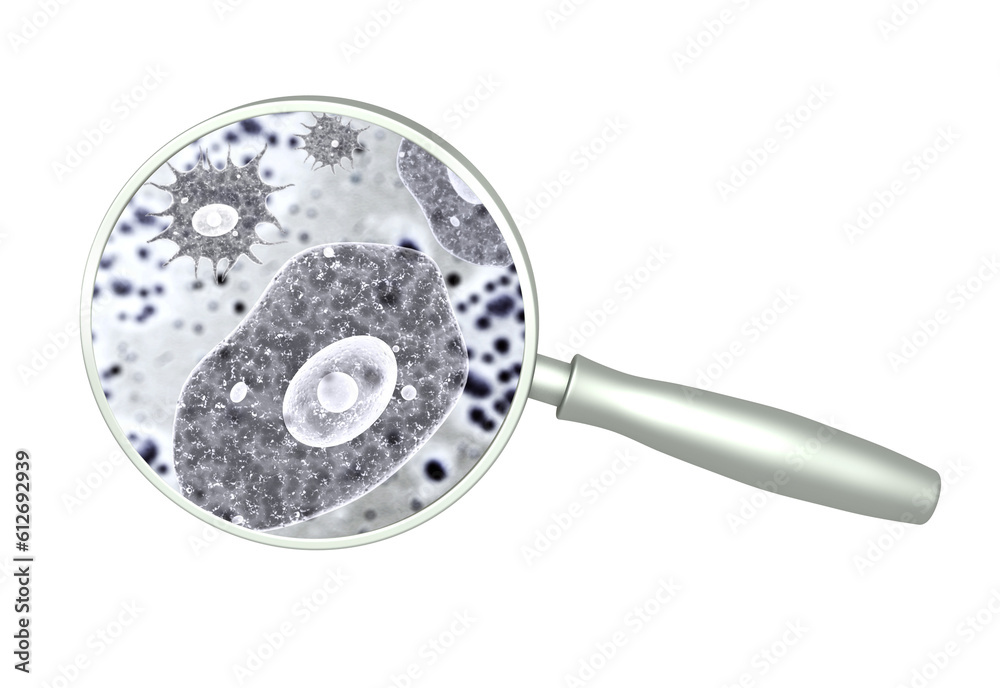Magnifying glass and pathogenic bacterias and viruses. Fast ...