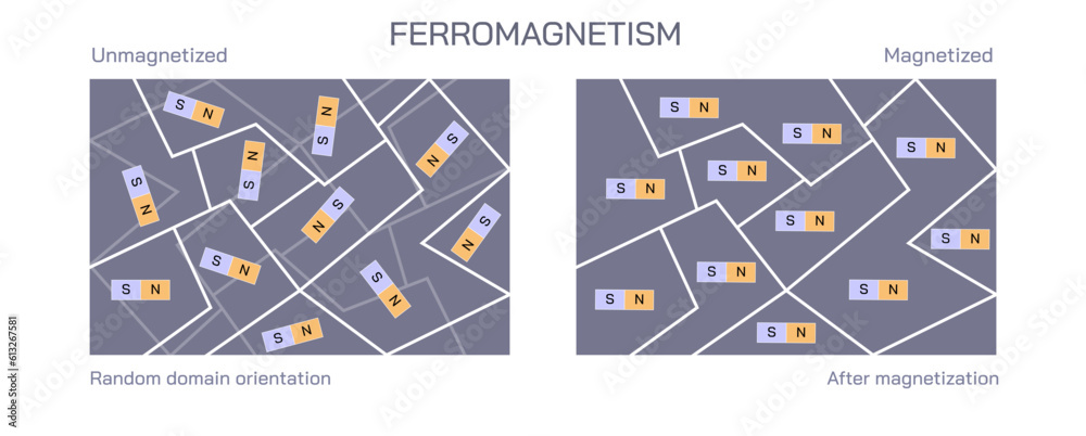 Ferro, ferri, dia, paramagnetic force vector illustraiton. Aligned ...