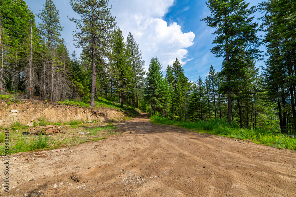 Vacant land and a road and driveway being cleared for a new home high ...