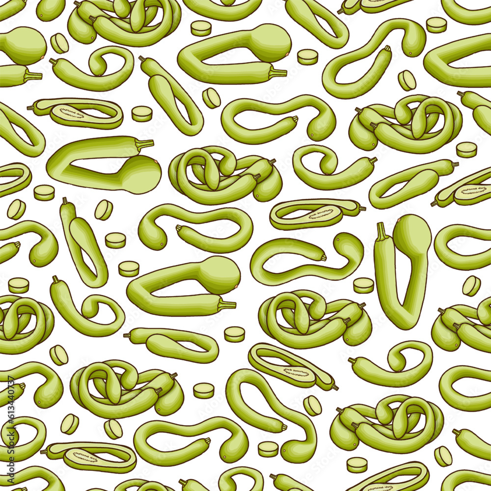 Seamless pattern with Tromboncino Squash or trombetta squash. Zucchino ...