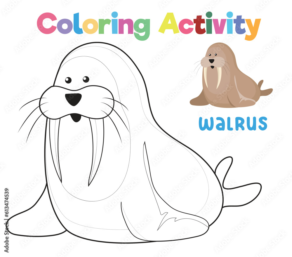 Coloring the walrus the sea animal. Coloring sea animals worksheet ...