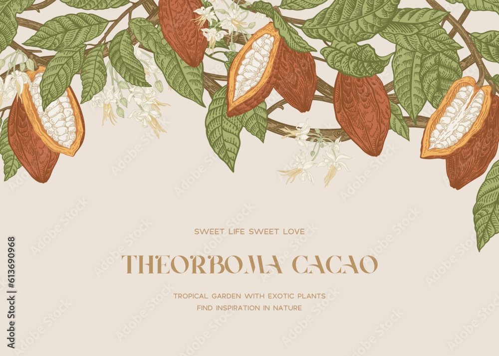 Vintage card with cocoa. Border with fruits, flowers, leaves. Vector ...