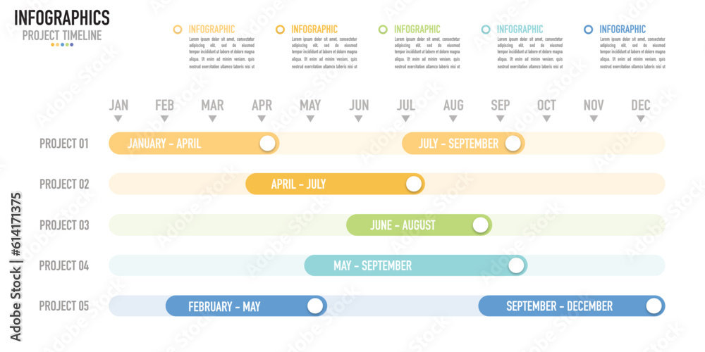 Gantt chart timeline 12 months infographic template or element with 5 ...