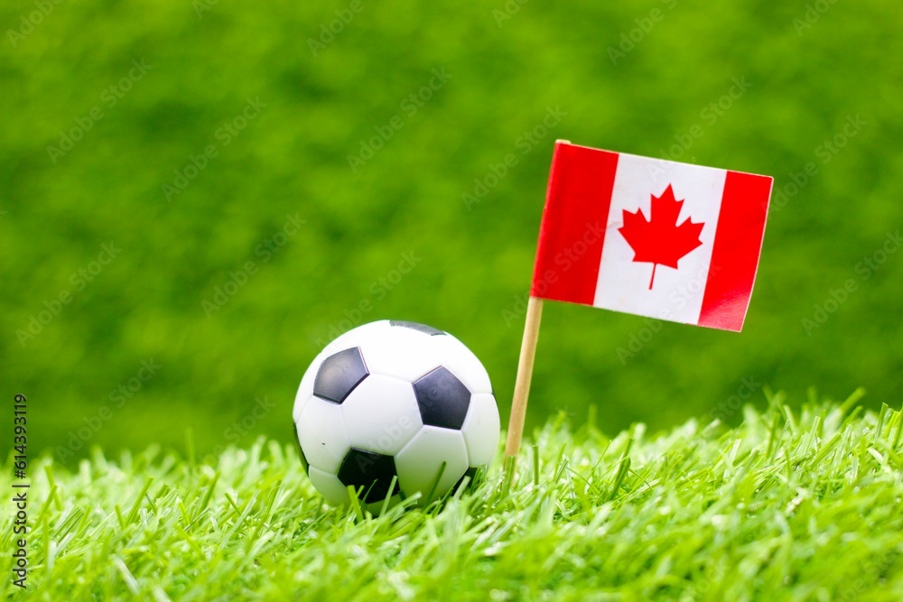 The CANADA soccer ball is perfect for any patriotic Canadian! This ball ...