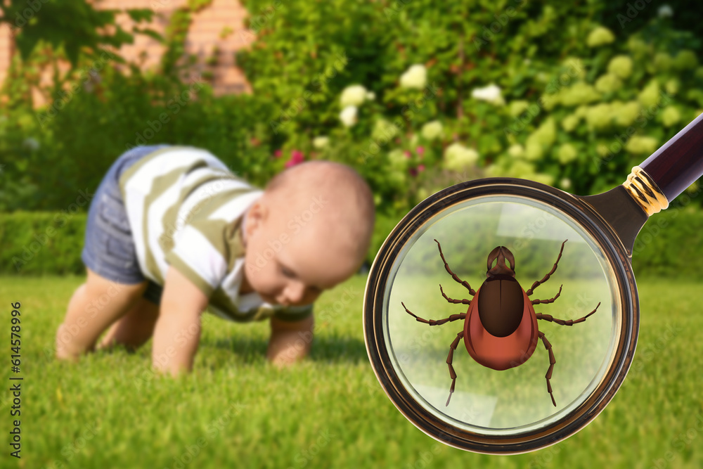 Seasonal danger hidden in green grass. Adorable little baby outdoors ...