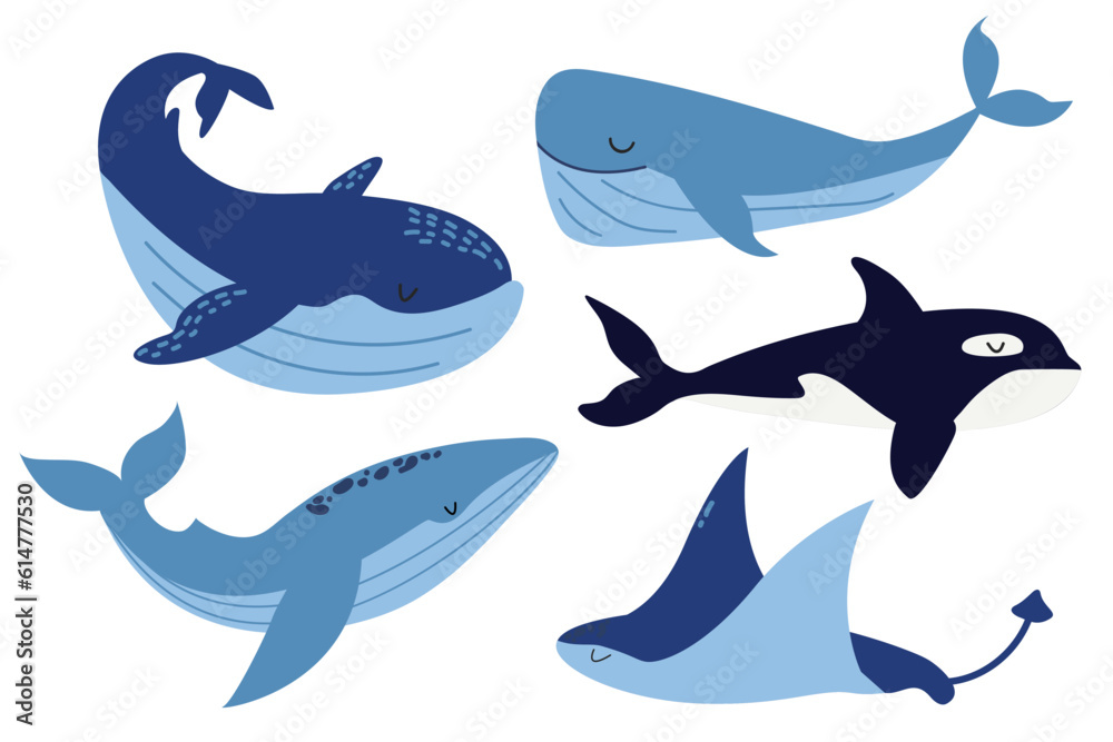 Vector set of sea animals. Collection of Oceanic Mammals. Whale, killer ...