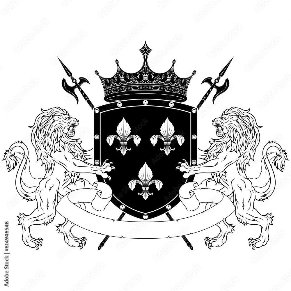 Heraldic shield of the middle ages, coat of arms with heraldic symbol ...
