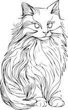 Cat Picasso Style Art Free Stock Photo - Public Domain Pictures