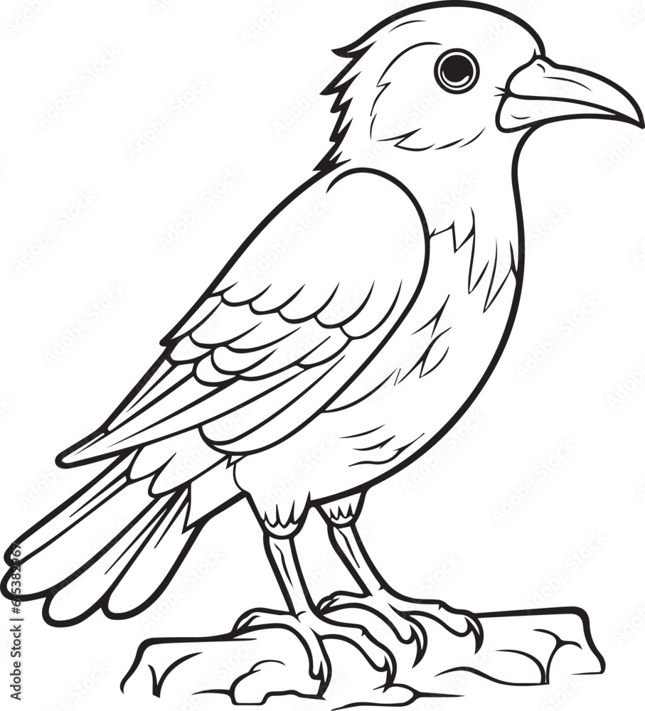 educational coloring pages for kids,crow coloring page animal drawings ...