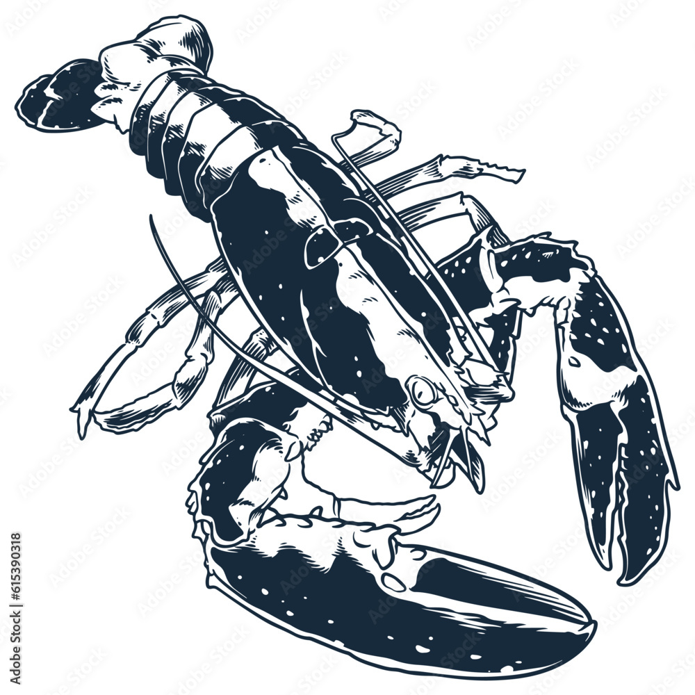 Seafood animal lobster engraving drawing vector. Hand sketch vintage ...