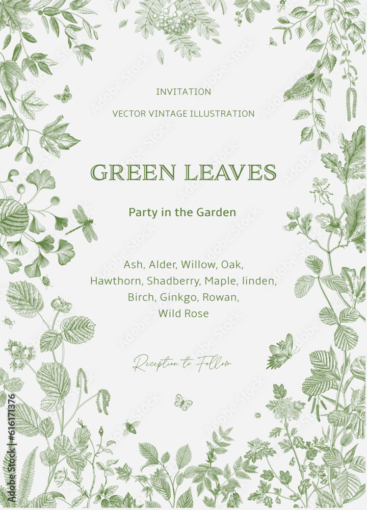 Green leaves. Invitation. Party in the Garden. Vector vintage ...