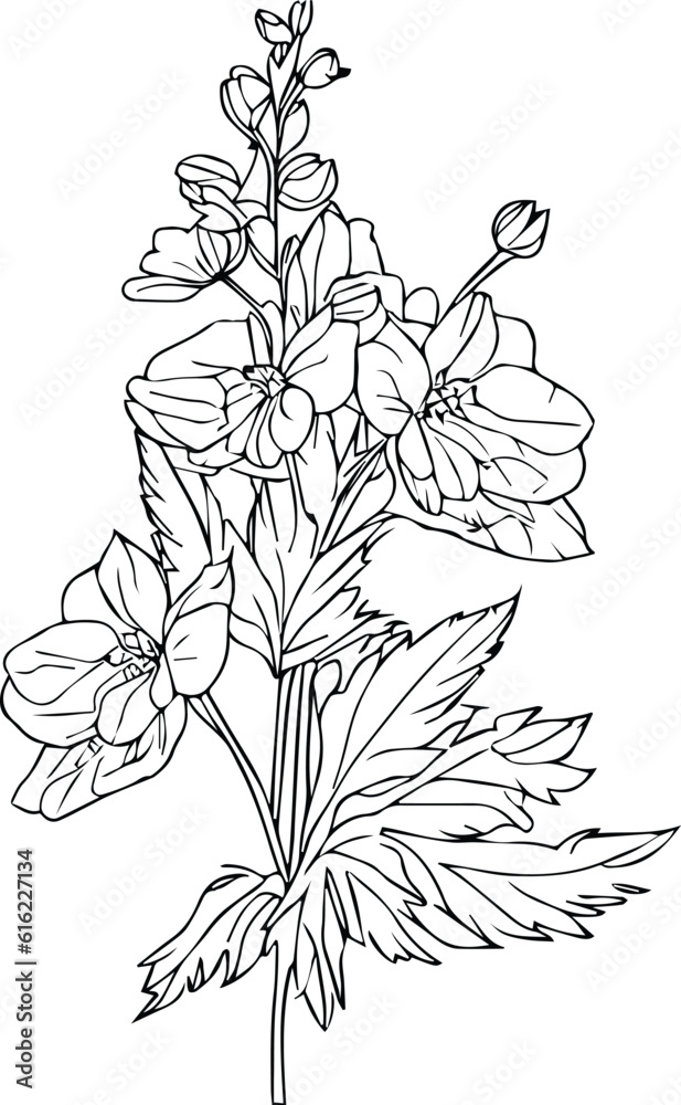 light blue delphinium wedding bouquet, July Birth Flower Larkspur ...