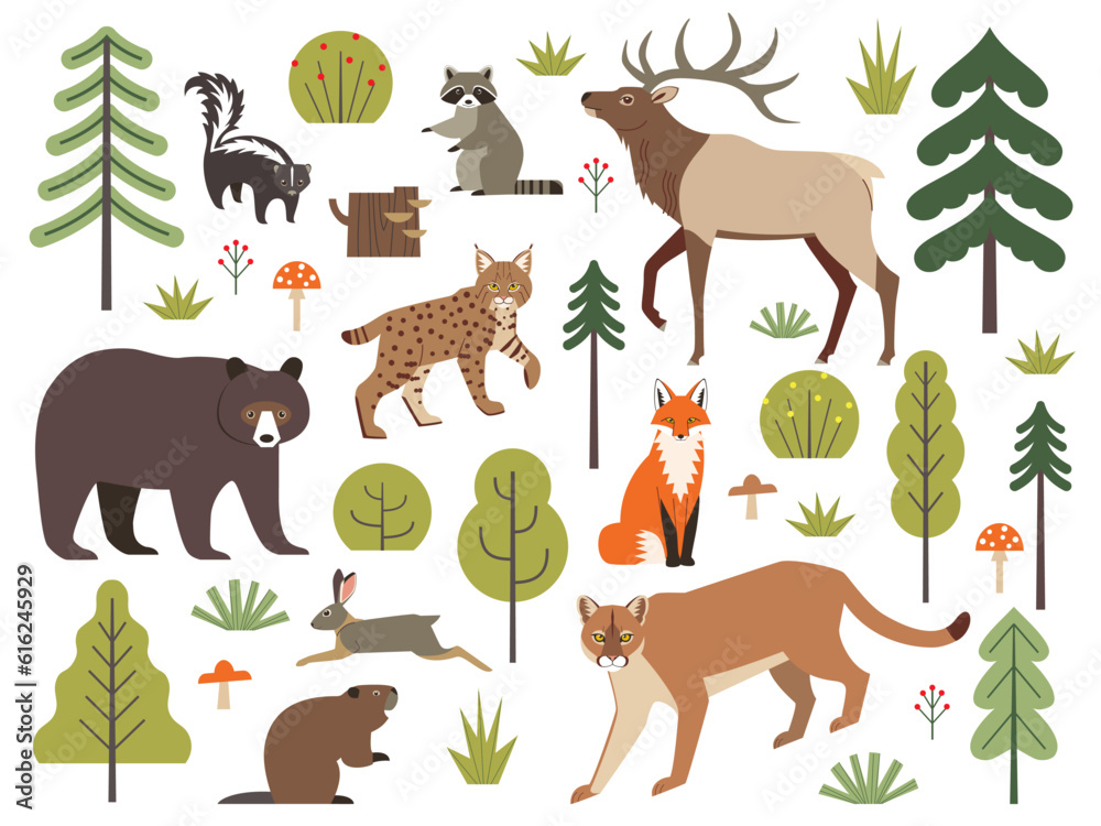Vector set of North American forest animals, trees, bushes, mushrooms ...