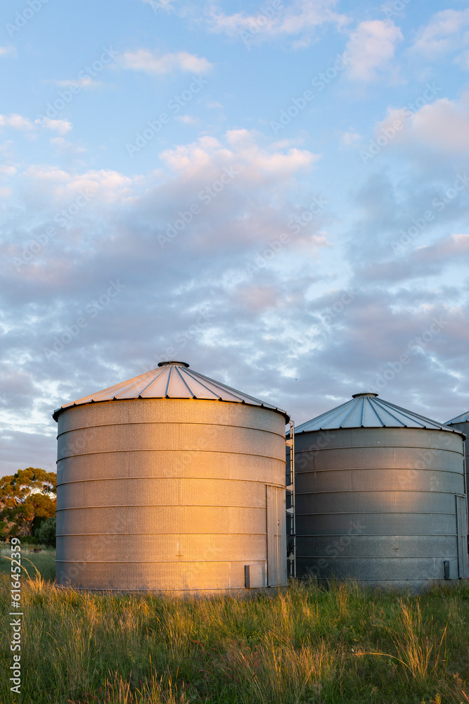 agricultural infrastructure on-farm storage - pair of grain silos ...