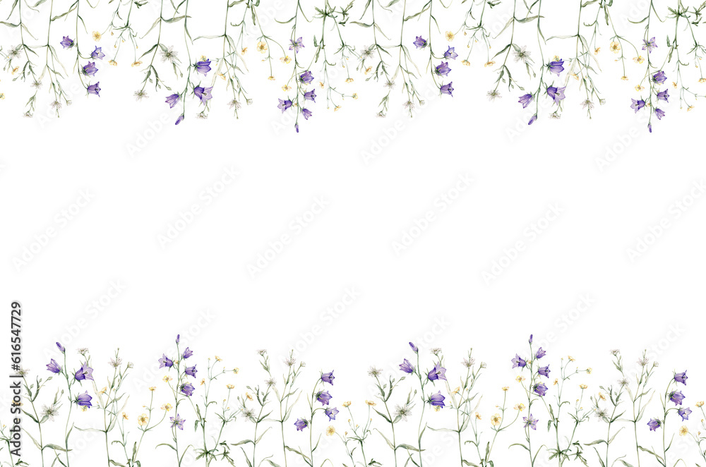 Seamless border of meadow, forest flowers. Campanula patula, little ...