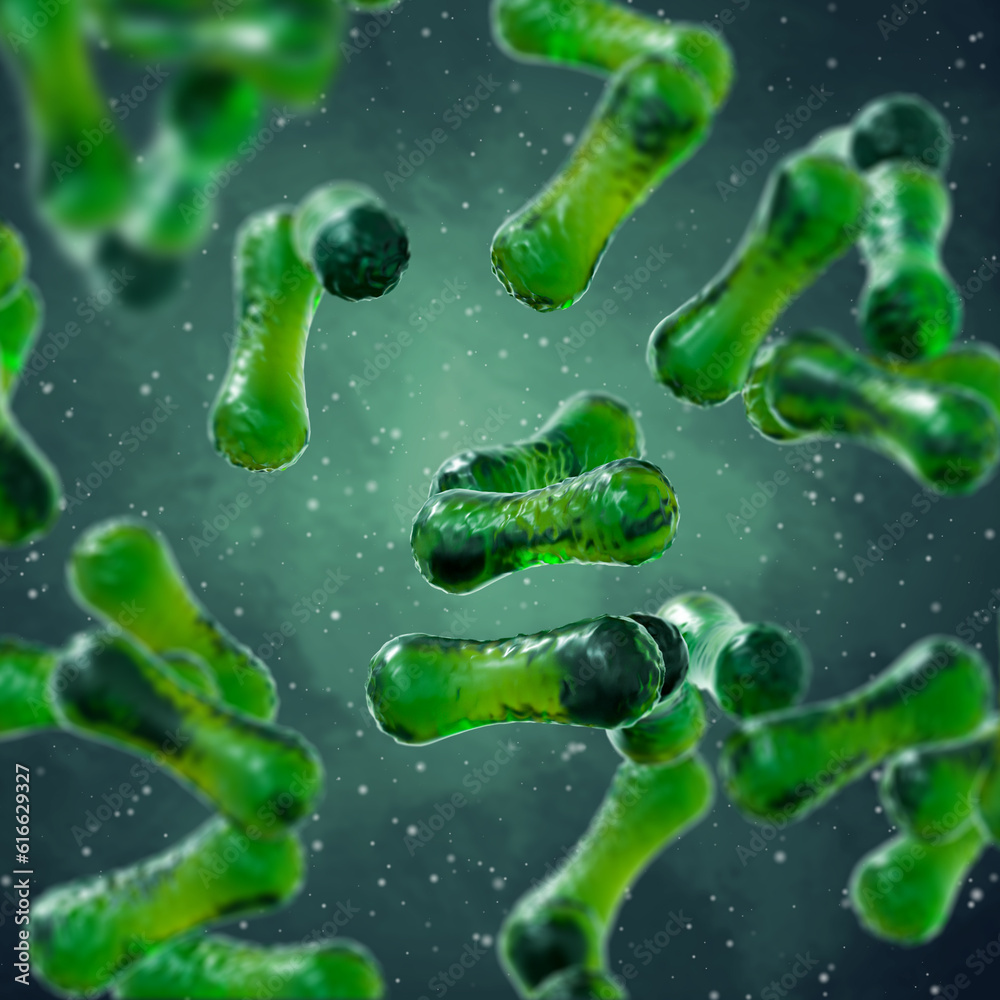 Medical background, Salmonella is a genus of non-spore-bearing rod ...