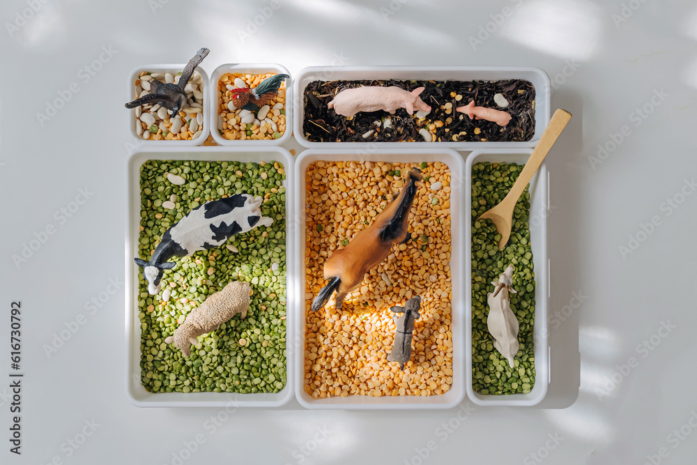 Farm animals in sensory bin. Educational game. Learning through play ...