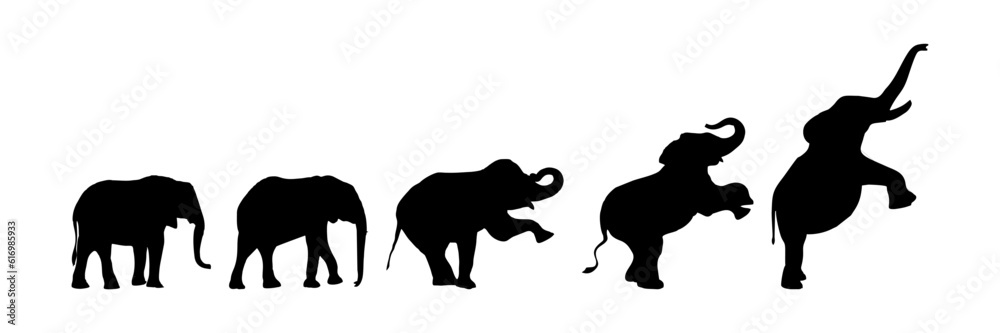 Vector illustration of a black silhouette elephant. Isolated white ...