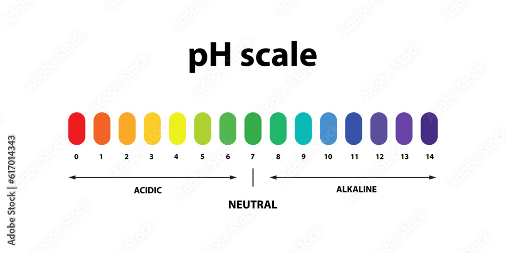 Ph scale chart indicator diagram value, alkaline, neutral, acidic solution Stock Vector | Adobe ...