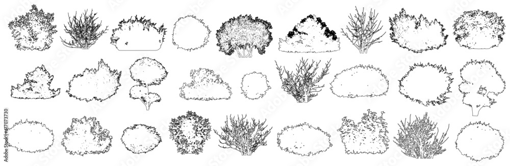 Set of bush and bare bush, decorative garden plants, contour. Vector ...