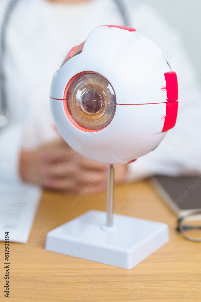 Doctor with human Eye anatomy model with magnifying glass. Eye disease ...