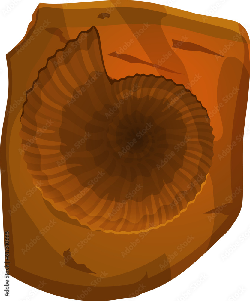 Ancient fossil, mollusc imprint in stone of Jurassic geological age ...