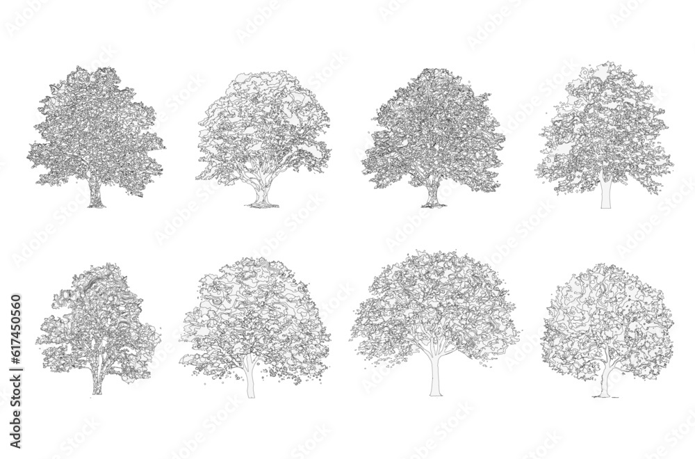 Minimal style cad tree line drawing, Side view, set of graphics trees elements outline symbol ...