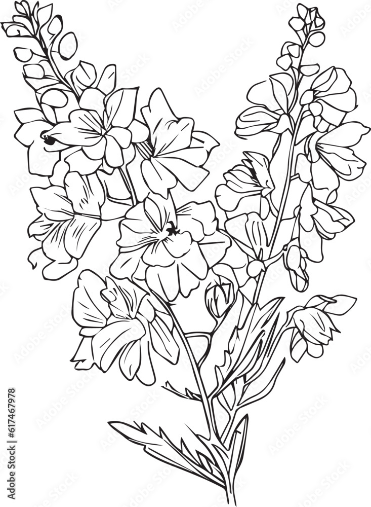 small minimalist larkspur tattoo, pencil delphinium drawing, outline ...