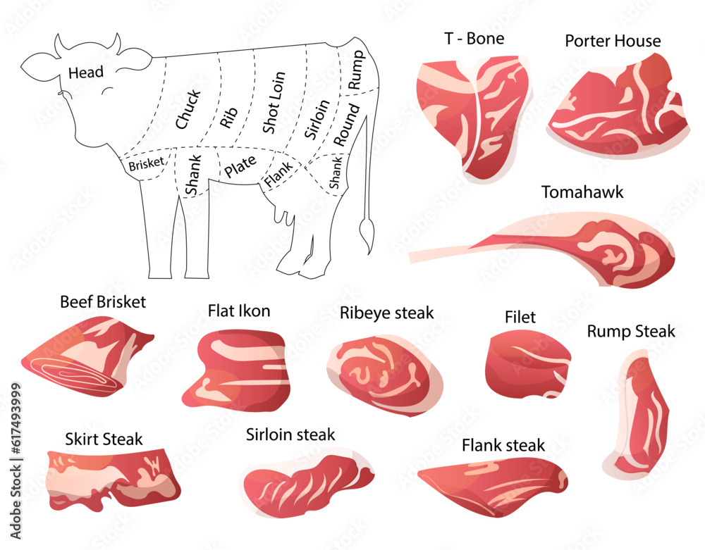 Vector de Stock Beef cuts diagram, slices of beef, loin, sirloin ...